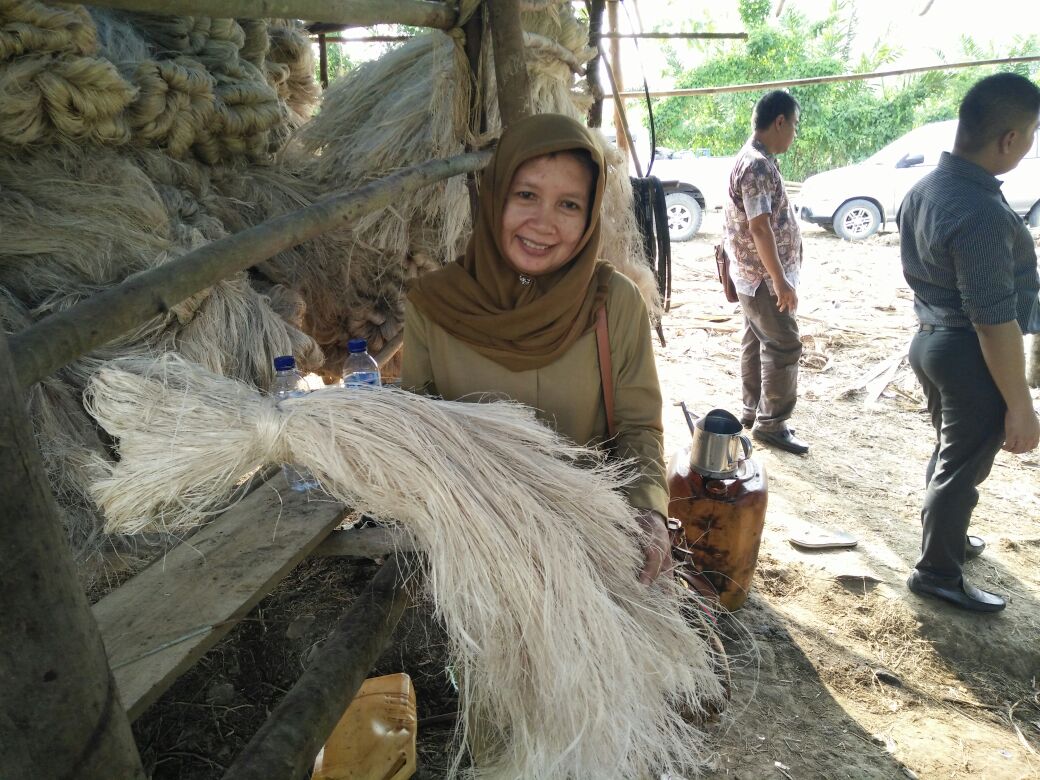 Naturi - Abaca Fiber