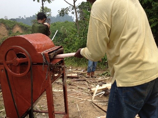 Naturi - Abaca Fiber